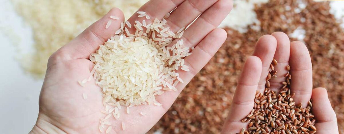 El arroz y sus propiedades beneficiosas para la salud - Harinera El Molino